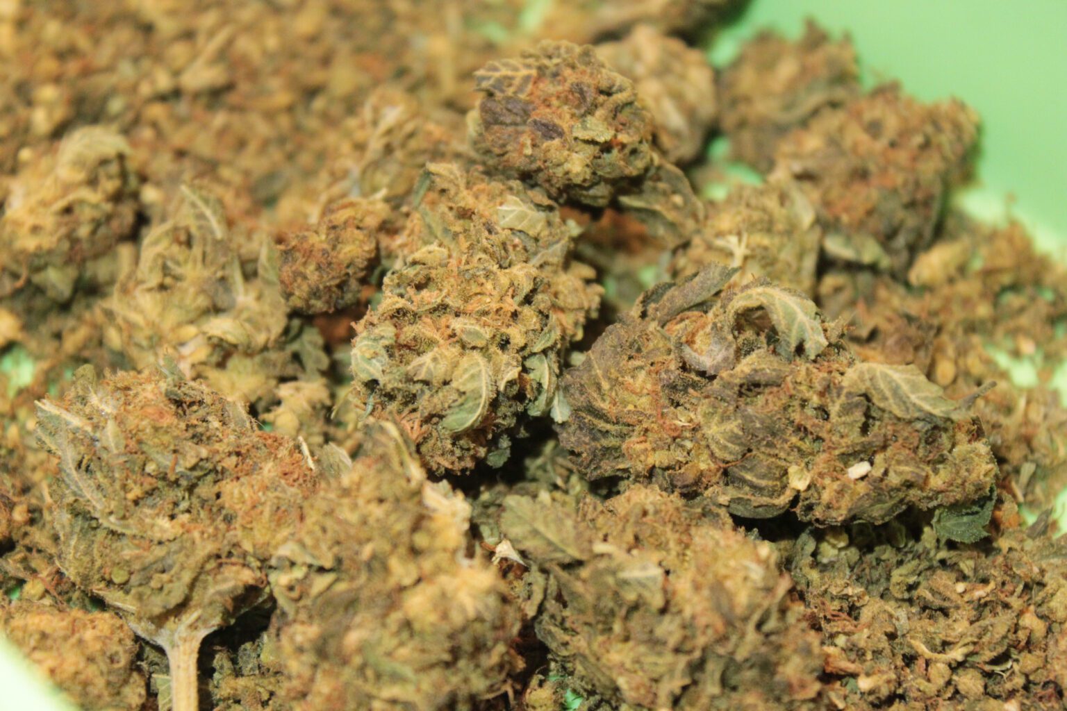 Texas THC Ban 2025: What It Means for Consumers and Retailers