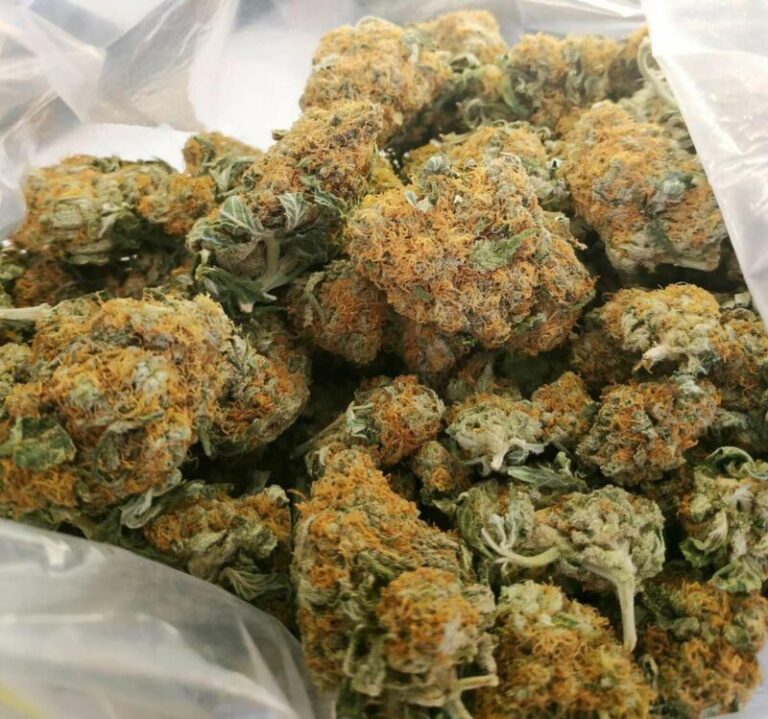 Is Your Weed Safe? How to Identify PGR Cannabis